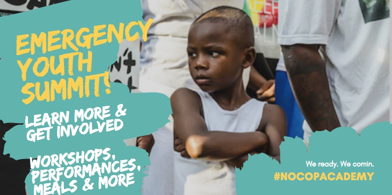 Screen Shot 2018-03-13 at 12.15.49 PM – No Cop Academy